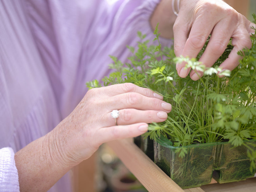 Navy Pro Tools - Our Story