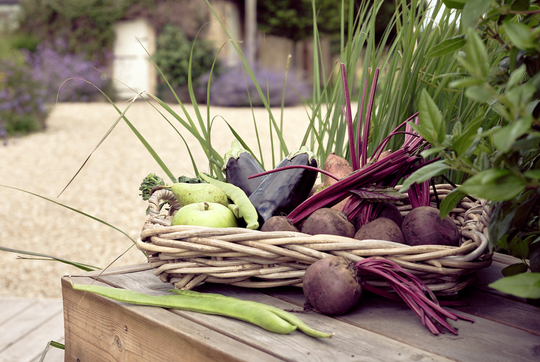 Navy Pro Tools - Our Story